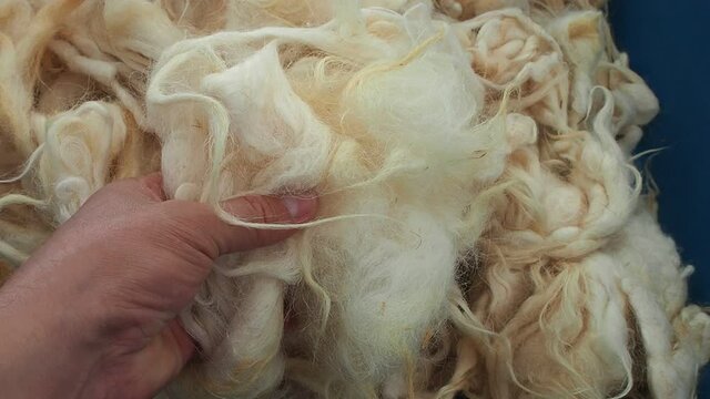 "Sheep Wool" Images – Browse 98,386 Stock Photos, Vectors, and Video ...