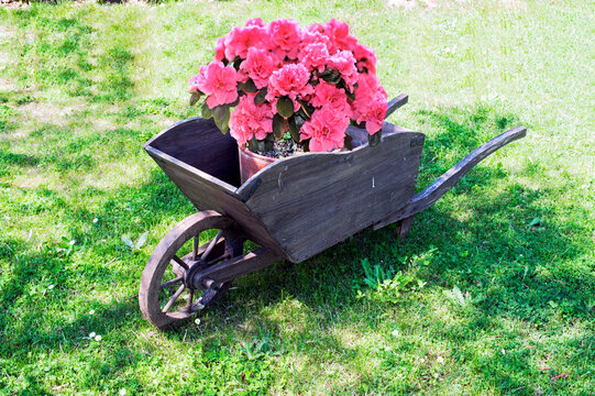 Handbarrow Bilder – Durchsuchen 517 Archivfotos, Vektorgrafiken und ...