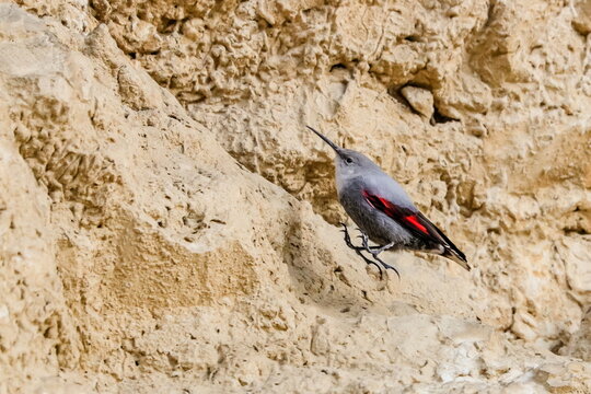 Daniel Dunca photos, images, assets | Adobe Stock