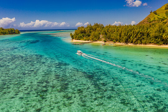Französisch-Polynesien-Bilder: Stock-Fotos & -Videos. | Adobe Stock