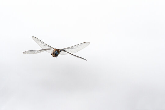 「Volo」の写真素材 | 25,944件の無料イラスト画像 | Adobe Stock