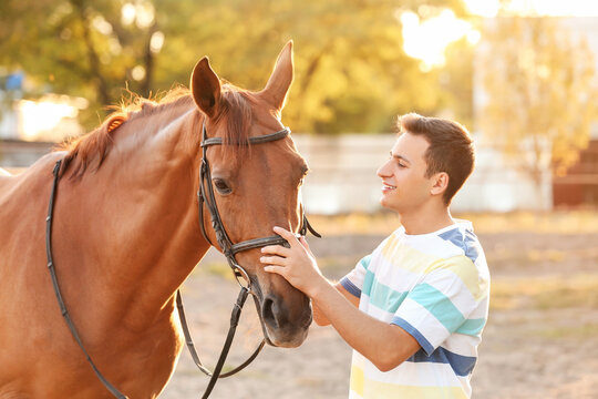 "Equine Therapy" Images – Browse 1,899 Stock Photos, Vectors, and Video ...