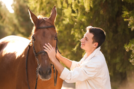 "Equine Therapy" Images – Browse 1,899 Stock Photos, Vectors, and Video ...