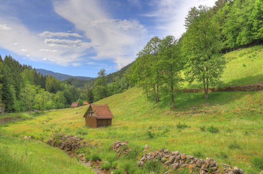 Nordschwarzwald Bilder – Durchsuchen 3,945 Archivfotos, Vektorgrafiken ...