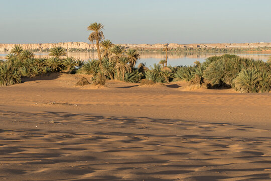 Serir Bilder – Durchsuchen 135 Archivfotos, Vektorgrafiken und Videos ...