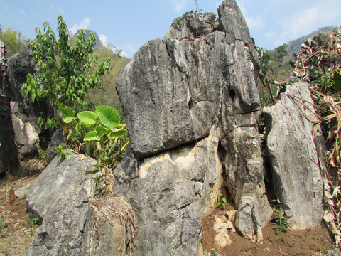 「Back-Stabbing」の写真素材 | 23件の無料イラスト画像 | Adobe Stock