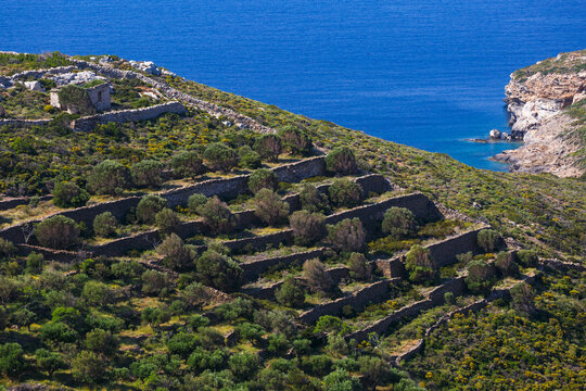 Fourni bilder – Bläddra bland 750 stockfoton, vektorer och videor ...