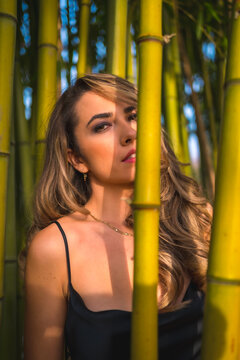 Bamboes Images – Browse 579 Stock Photos, Vectors, and Video | Adobe Stock