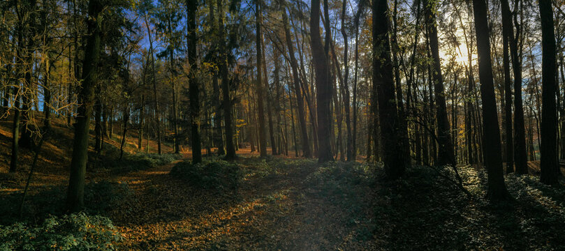 Panoramafoto 이미지 – 찾아보기 4,755 스톡 사진, 벡터 및 비디오 | Adobe Stock