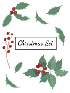 รูปภาพ"Holly – เลือกดูภาพถ่ายสต็อก เวกเตอร์ และวิดีโอ367,494 | Adobe Stock