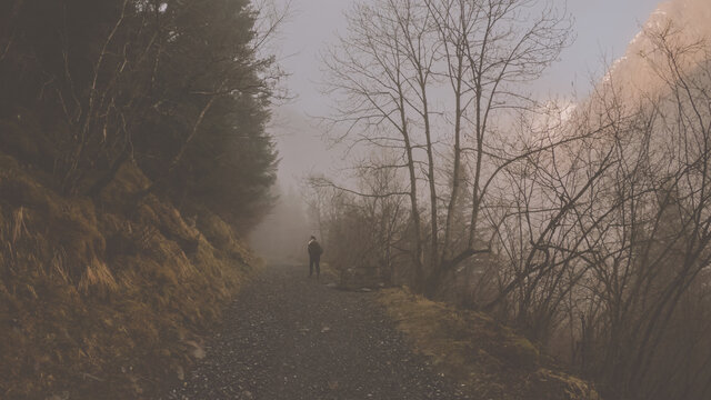 "Cinematic Background" Images – Browse 1,210 Stock Photos, Vectors, and ...