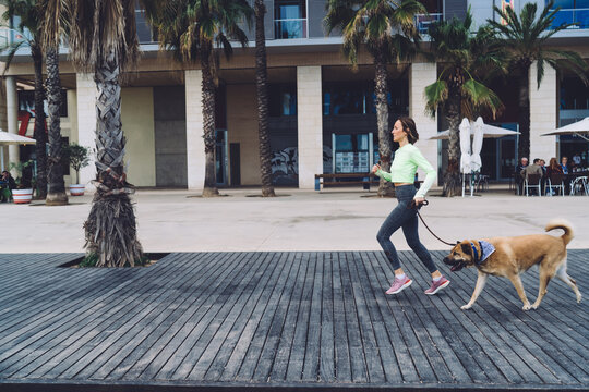 「Mongler」の写真素材 | 13件の無料イラスト画像 | Adobe Stock