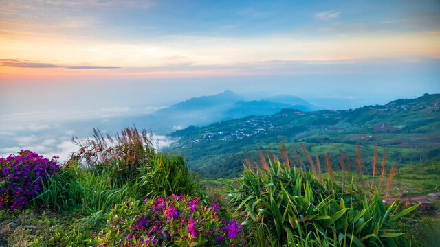 "Phu Thap Buek" Images – Browse 186 Stock Photos, Vectors, and Video ...