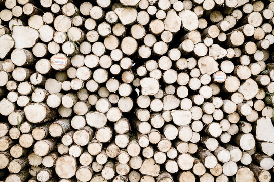 รูปภาพLogged – เลือกดูภาพถ่ายสต็อก เวกเตอร์ และวิดีโอ807,459 | Adobe Stock