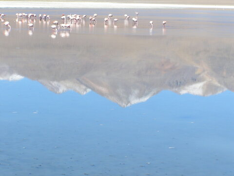 Katarrh Bilder – Durchsuchen 35,304 Archivfotos, Vektorgrafiken und ...