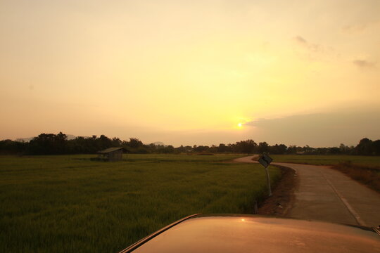 รูปภาพAuttum – เลือกดูภาพถ่ายสต็อก เวกเตอร์ และวิดีโอ151 | Adobe Stock