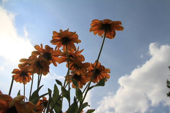 Summersun Images – Browse 302 Stock Photos, Vectors, and Video | Adobe ...