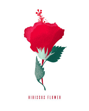 Bissap Images – Browse 10,207 Stock Photos, Vectors, and Video | Adobe ...