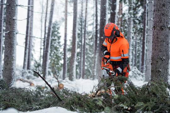 Lumberjacking Bilder – Durchsuchen 369,246 Archivfotos, Vektorgrafiken ...