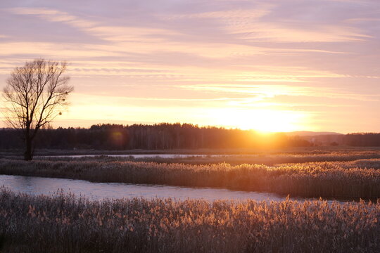 Roztocza Images – Browse 58 Stock Photos, Vectors, and Video | Adobe Stock