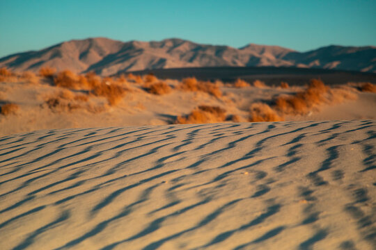 Coarseness Images – Browse 5,699 Stock Photos, Vectors, and Video ...