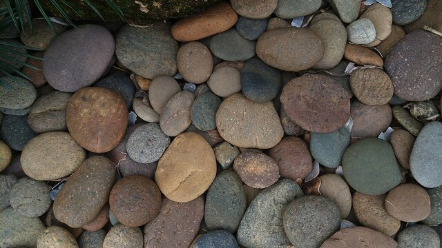 รูปภาพPebble – เลือกดูภาพถ่ายสต็อก เวกเตอร์ และวิดีโอ655,990 | Adobe Stock