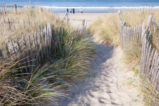 รูปภาพSandweg – เลือกดูภาพถ่ายสต็อก เวกเตอร์ และวิดีโอ1,099 | Adobe Stock