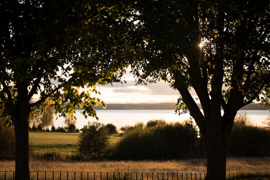 Unden Bilder – Durchsuchen 29 Archivfotos, Vektorgrafiken und Videos ...