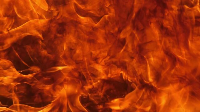 Sizzler Images – Browse 7 Stock Photos, Vectors, and Video | Adobe Stock