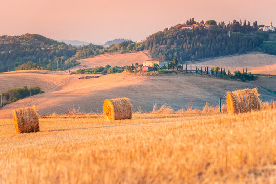 Heu Bilder – Durchsuchen 595,533 Archivfotos, Vektorgrafiken und Videos ...