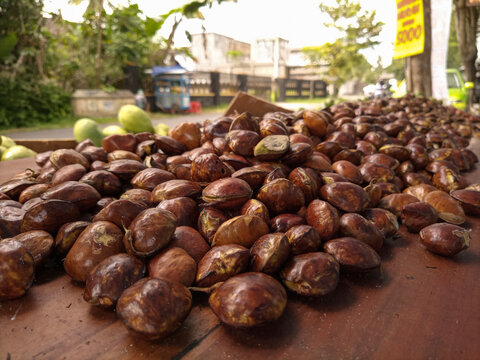 รูปภาพJengkol – เลือกดูภาพถ่ายสต็อก เวกเตอร์ และวิดีโอ252 | Adobe Stock