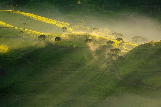 "Terraced Fields" Images – Browse 5,514 Stock Photos, Vectors, and ...