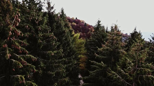 「Solagna」の写真素材 | 30件の無料イラスト画像 | Adobe Stock