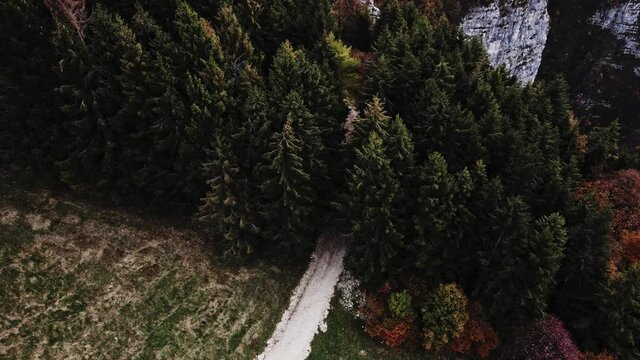 「Solagna」の写真素材 | 29件の無料イラスト画像 | Adobe Stock