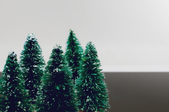 Fichtenbaum Bilder – Durchsuchen 1,416,743 Archivfotos, Vektorgrafiken ...