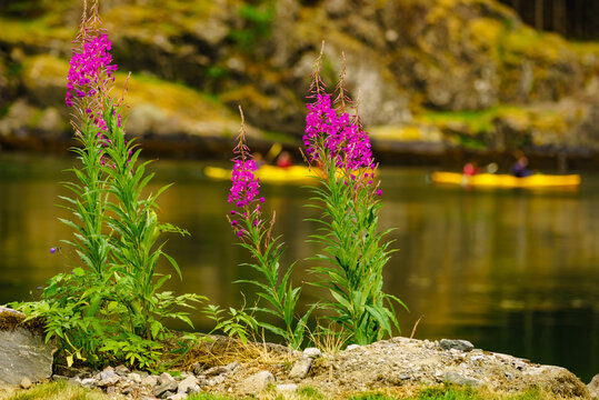 รูปภาพGeitrams – เลือกดูภาพถ่ายสต็อก เวกเตอร์ และวิดีโอ91 | Adobe Stock