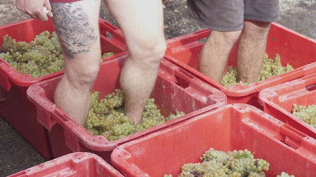 Maceration Images – Browse 1,007 Stock Photos, Vectors, and Video ...