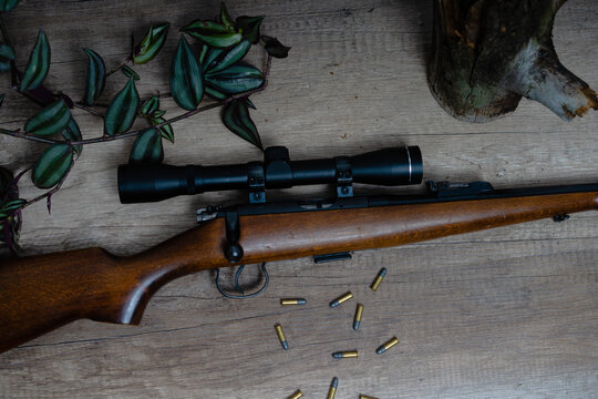 22Lr 画像 - 参照 474 Stock 写真、ベクターおよびビデオ | Adobe Stock