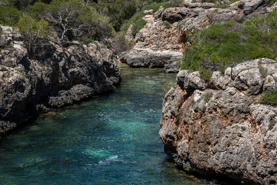 43 BEST Beltran IMAGES, STOCK PHOTOS & VECTORS | Adobe Stock