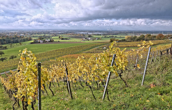 Winzerei bilder – Bläddra bland 1,016 stockfoton, vektorer och videor ...