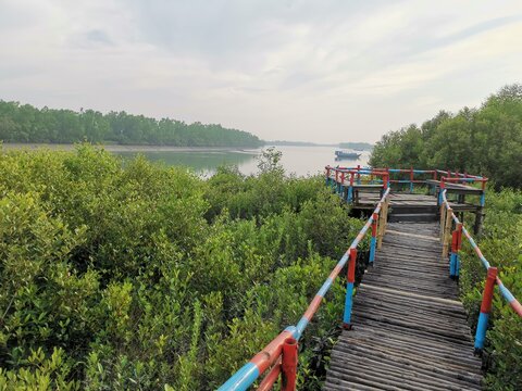 Satkhira Images – Browse 66 Stock Photos, Vectors, and Video | Adobe Stock