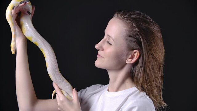 Albino Python"」の写真素材 | 1,556件の無料イラスト画像 | Adobe Stock