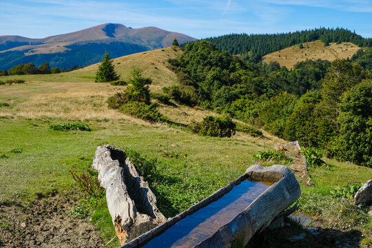 "Cattle Trough" Images – Browse 43 Stock Photos, Vectors, and Video ...