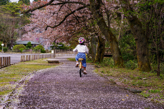 自転車 ヘルメット Images – Browse 2,743 Stock Photos, Vectors, and Video ...