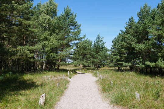 Sandweg Bilder – Durchsuchen 1,099 Archivfotos, Vektorgrafiken und ...