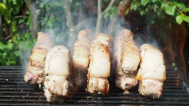 รูปภาพFlamboyer – เลือกดูภาพถ่ายสต็อก เวกเตอร์ และวิดีโอ18 | Adobe Stock