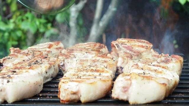 Flamboyer Imagens – Procure 18 fotos, vetores e vídeos | Adobe Stock