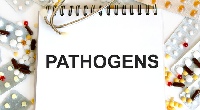 รูปภาพStaph – เลือกดูภาพถ่ายสต็อก เวกเตอร์ และวิดีโอ8,024 | Adobe Stock