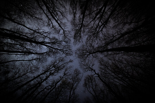 Achluophobia Bilder – Durchsuchen 269 Archivfotos, Vektorgrafiken und ...