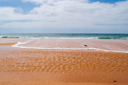 Macmasters Beach"」の写真素材 | 931件の無料イラスト画像 | Adobe Stock